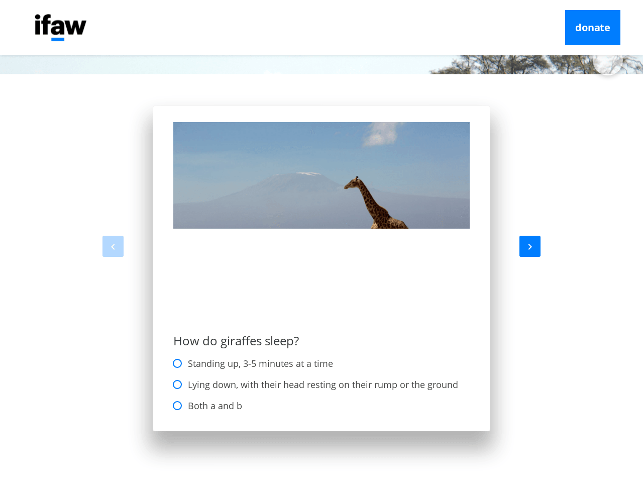 Test Your Giraffe Knowledge