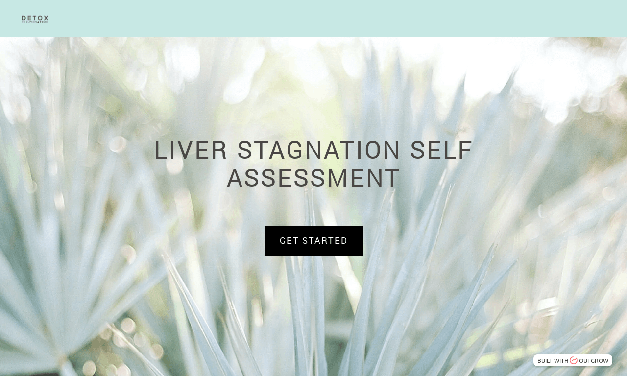 Liver Stagnation Self Assessment